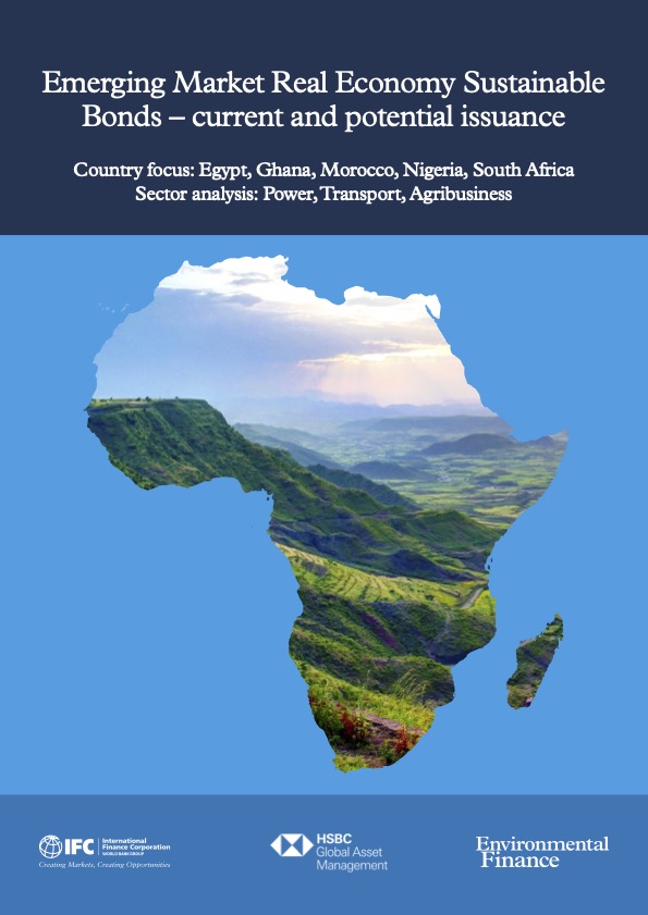 Emerging Market Real Economy Sustainable Bonds – current and potential ...